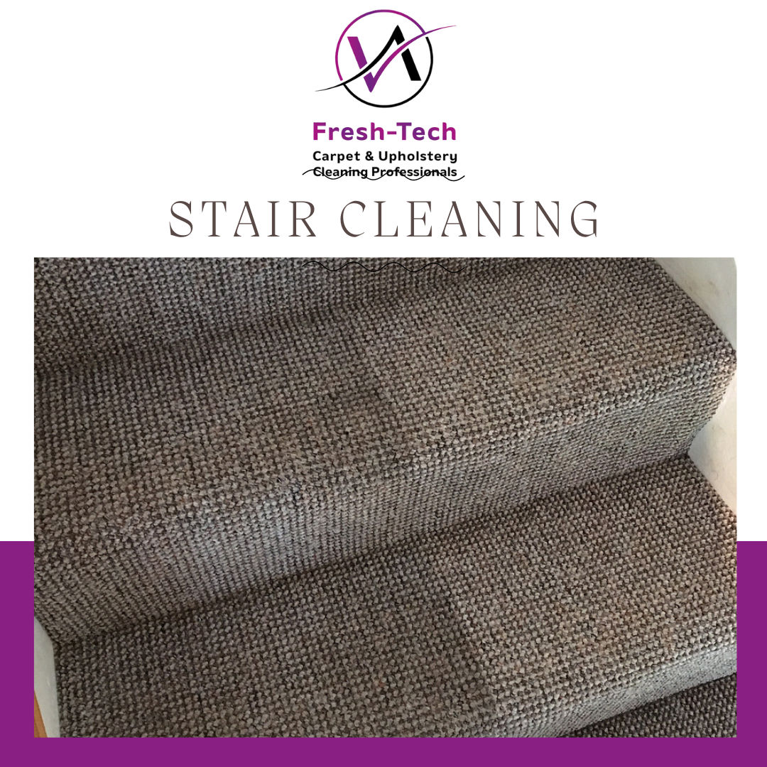 Professional Carpet Cleaning I